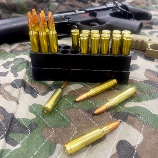 308 Winchester 168gr Ballistic Tip Solid Copper 20ct box – Milford ...